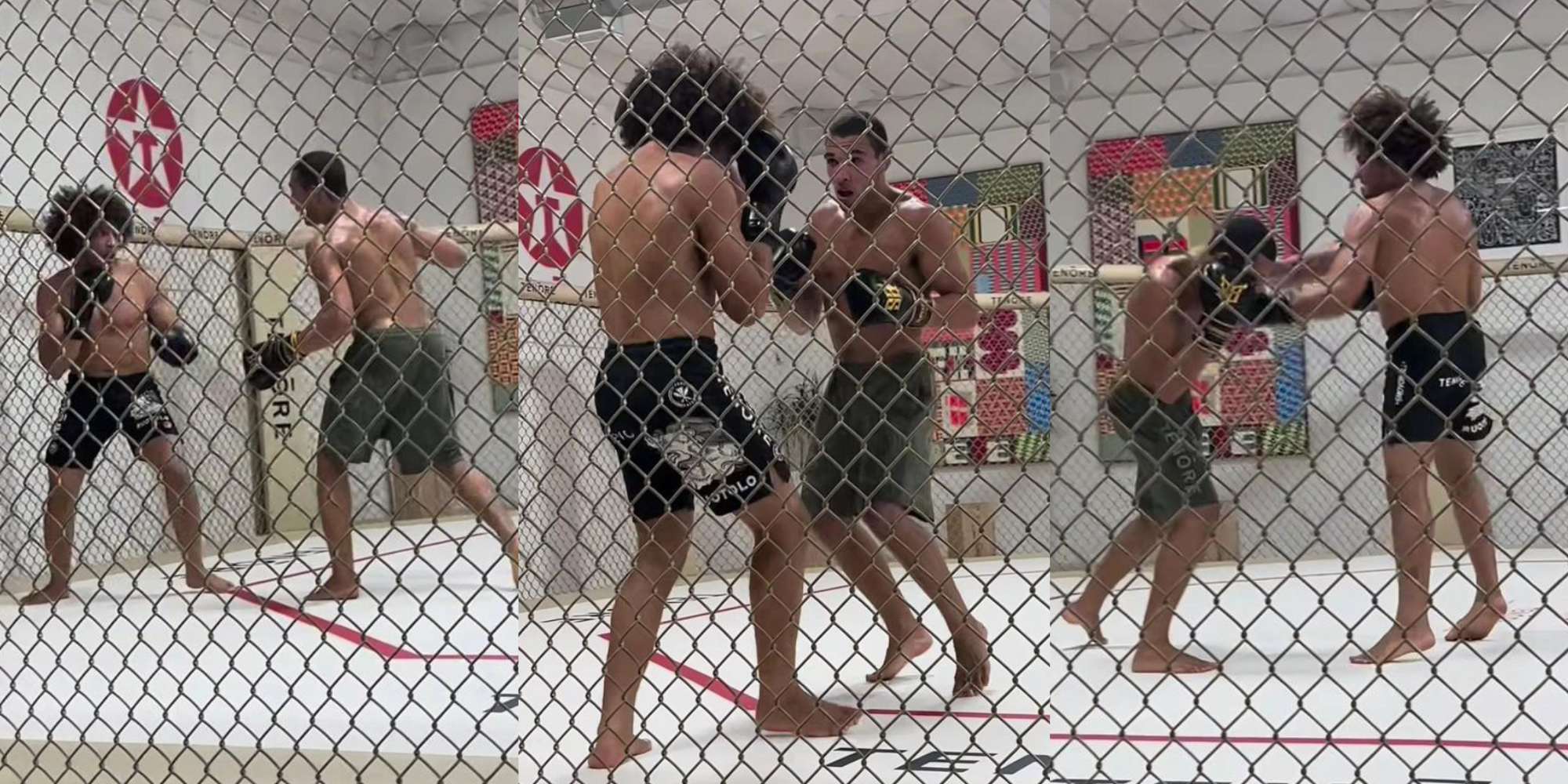 Watch The Ruotolo Brothers In MMA Sparring - Jitsmagazine.com